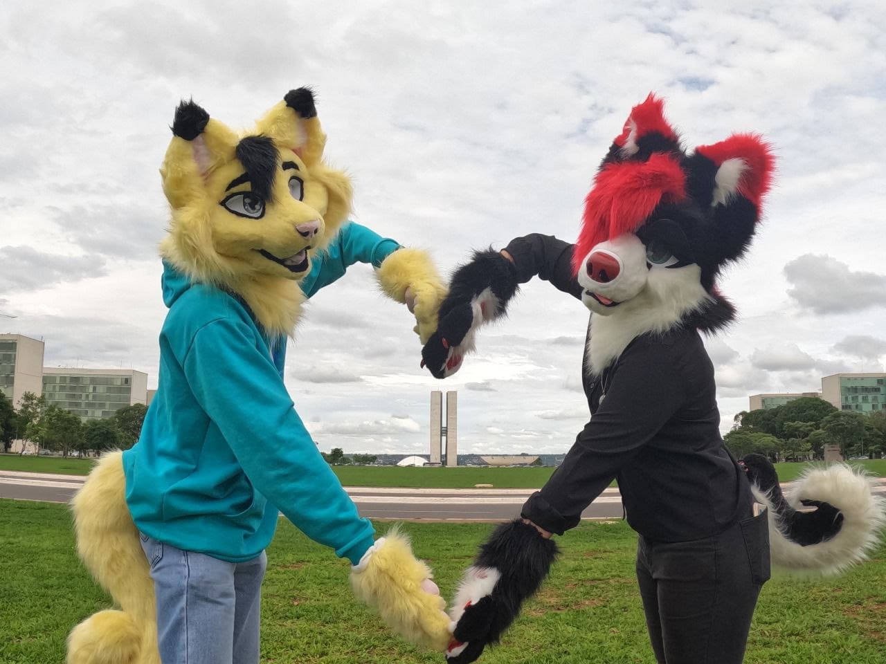 Furries e therians: entenda a diferença de comportamento entre os ...